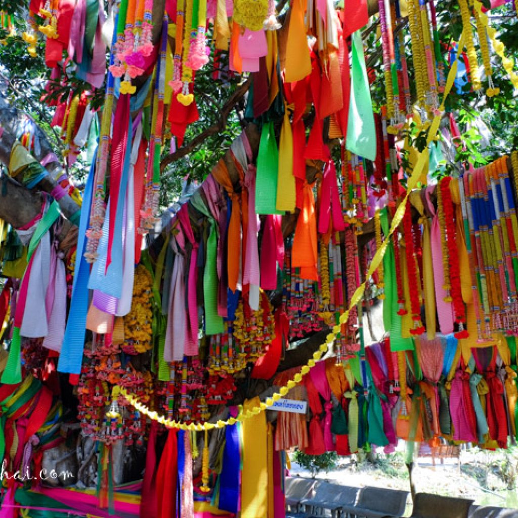 Wat Phueng วัดผึ้ง (ร้าง) – Temple Thai